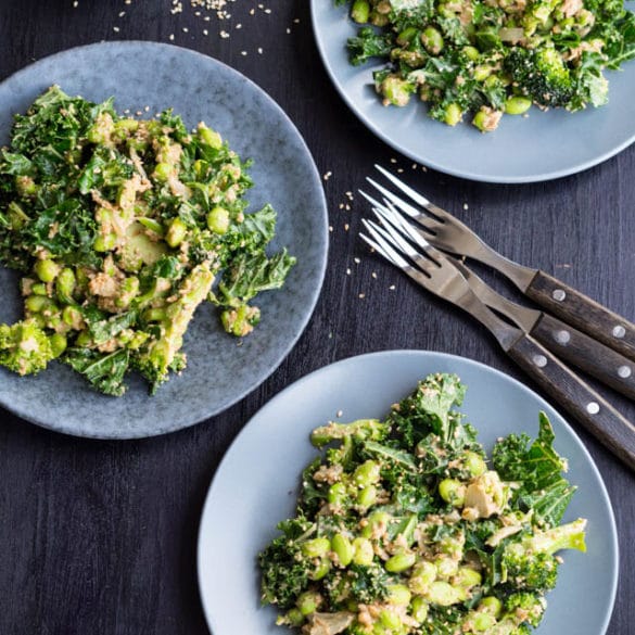 Vegetarretter - opskrifter på nemme, lækre og sunde vegetarretter